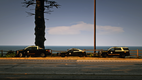 SAHP Livery Pack (FHP) – Space101