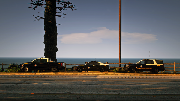 SAHP Livery Pack (FHP) – Space101